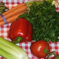 Cooking after brain injury – Easy cooking for recovery – susana stoica ...